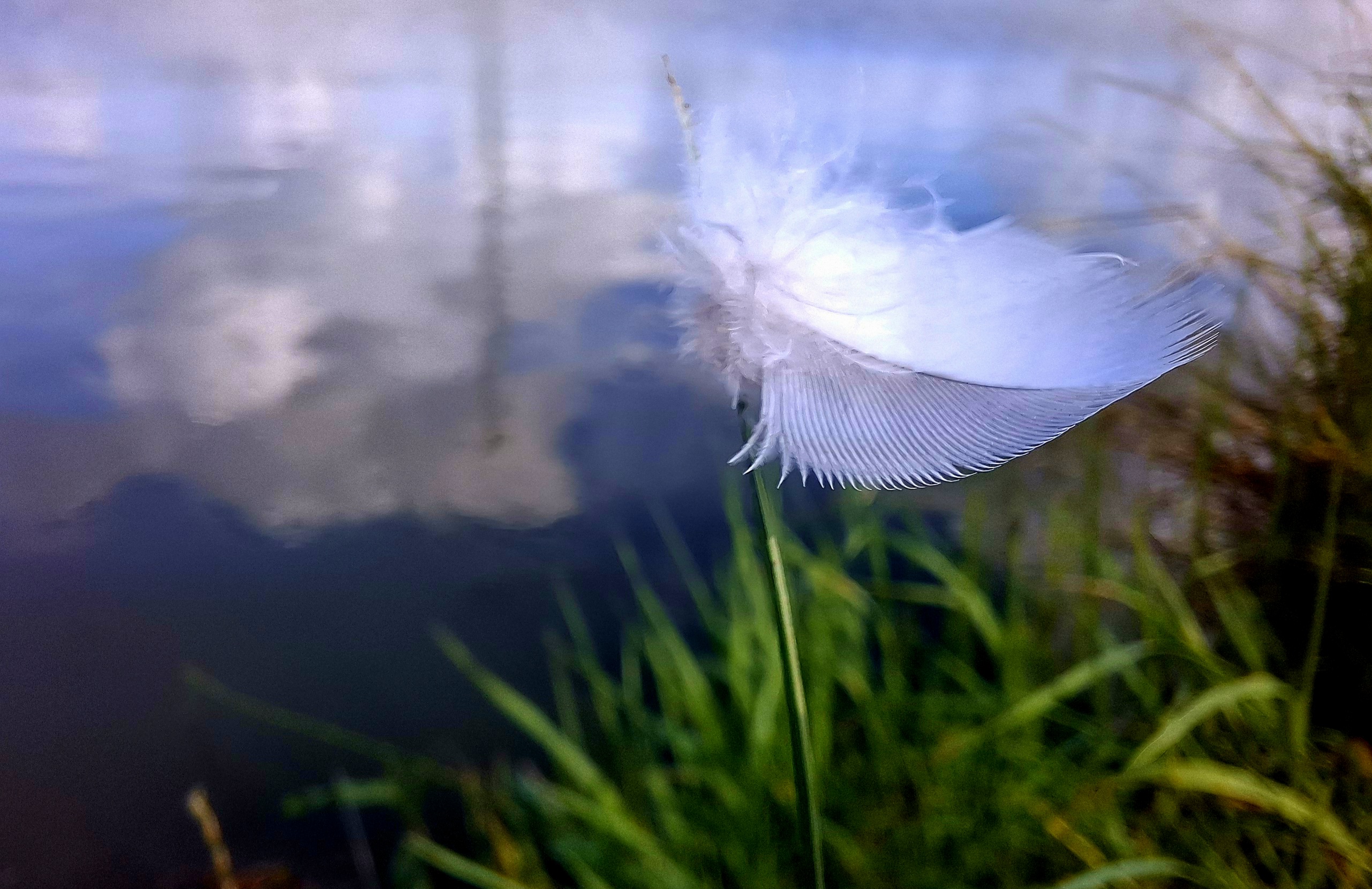 Rosa Verloop - Beeldend kunstenares, poppenmaakster, tekenares.